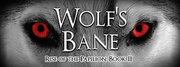 Meet Guest Author Dyane Forde | Chris The Story Reading Ape's Blog