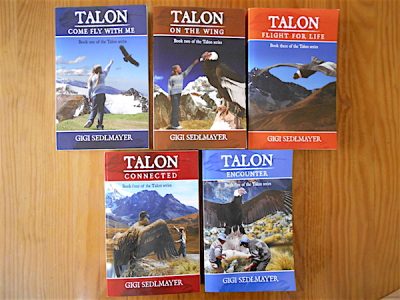 How the Talon story and series came to life (Guest Post)… | Chris The ...