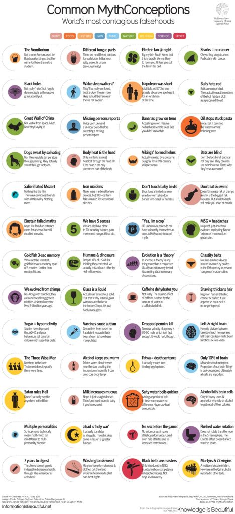 Common MythConceptions- Infographic… | Chris The Story Reading Ape's Blog