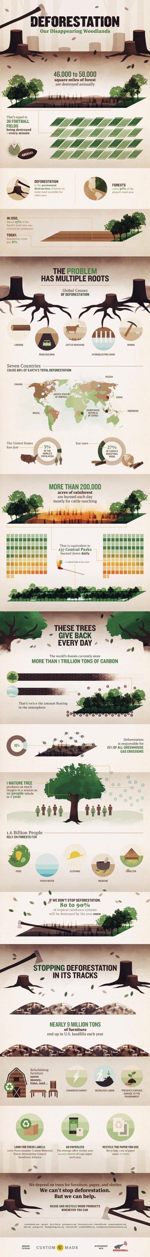 Deforestation – Infographic… | Chris The Story Reading Ape's Blog