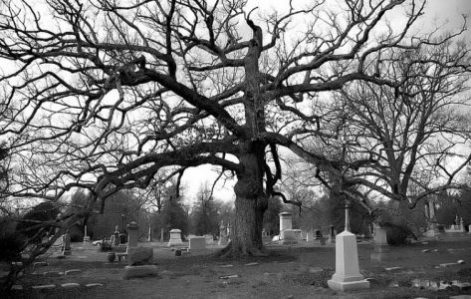 Your Dead Ancestors Can Help You Write That book | Chris The Story ...
