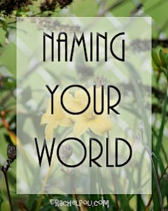 5 Tips To Name Your World [World Building]… | Chris The Story Reading ...
