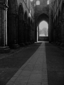 Following the fickle lady | Chris The Story Reading Ape's Blog