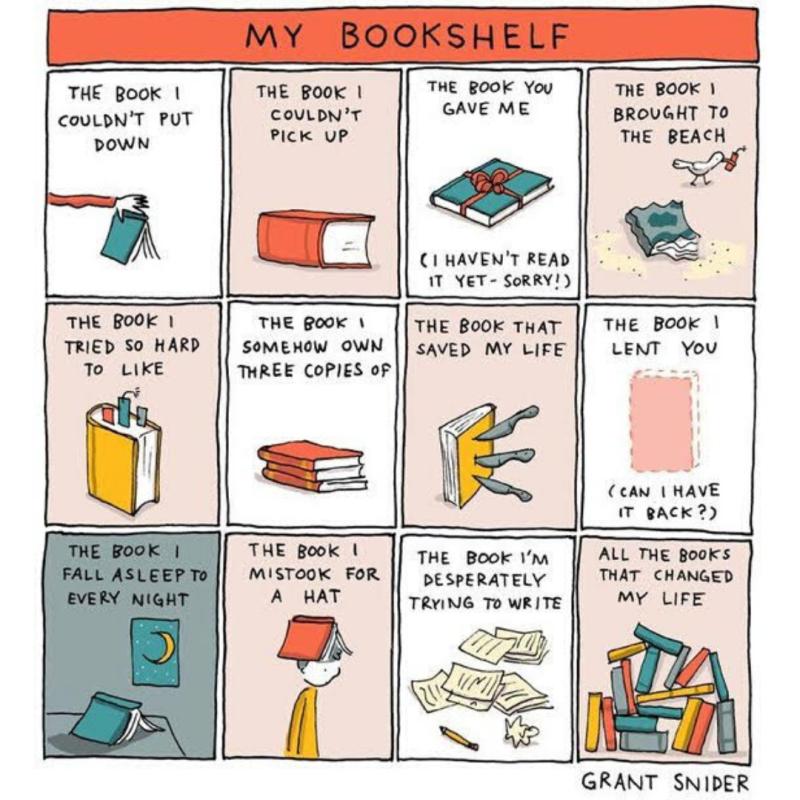 My Bookshelf- Meme | Chris The Story Reading Ape's Blog