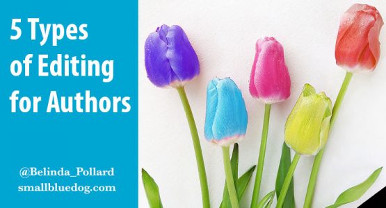 5 Types of Editing for Authors – by Belinda Pollard… | Chris The Story ...