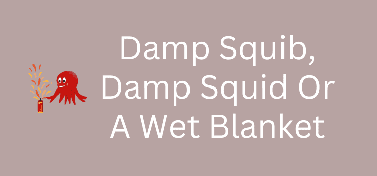 Damp Squib Or Damp Squid And A Wet Blanket – by Derek Haines… | Chris ...